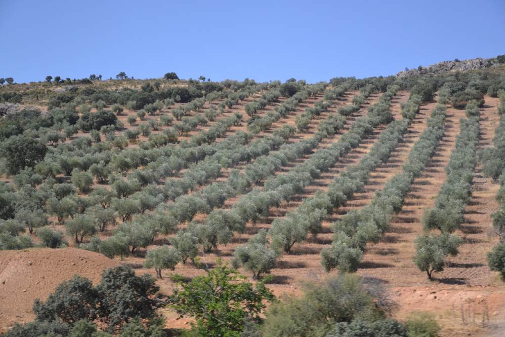 How to get to Cordoba - travelcordoba.com